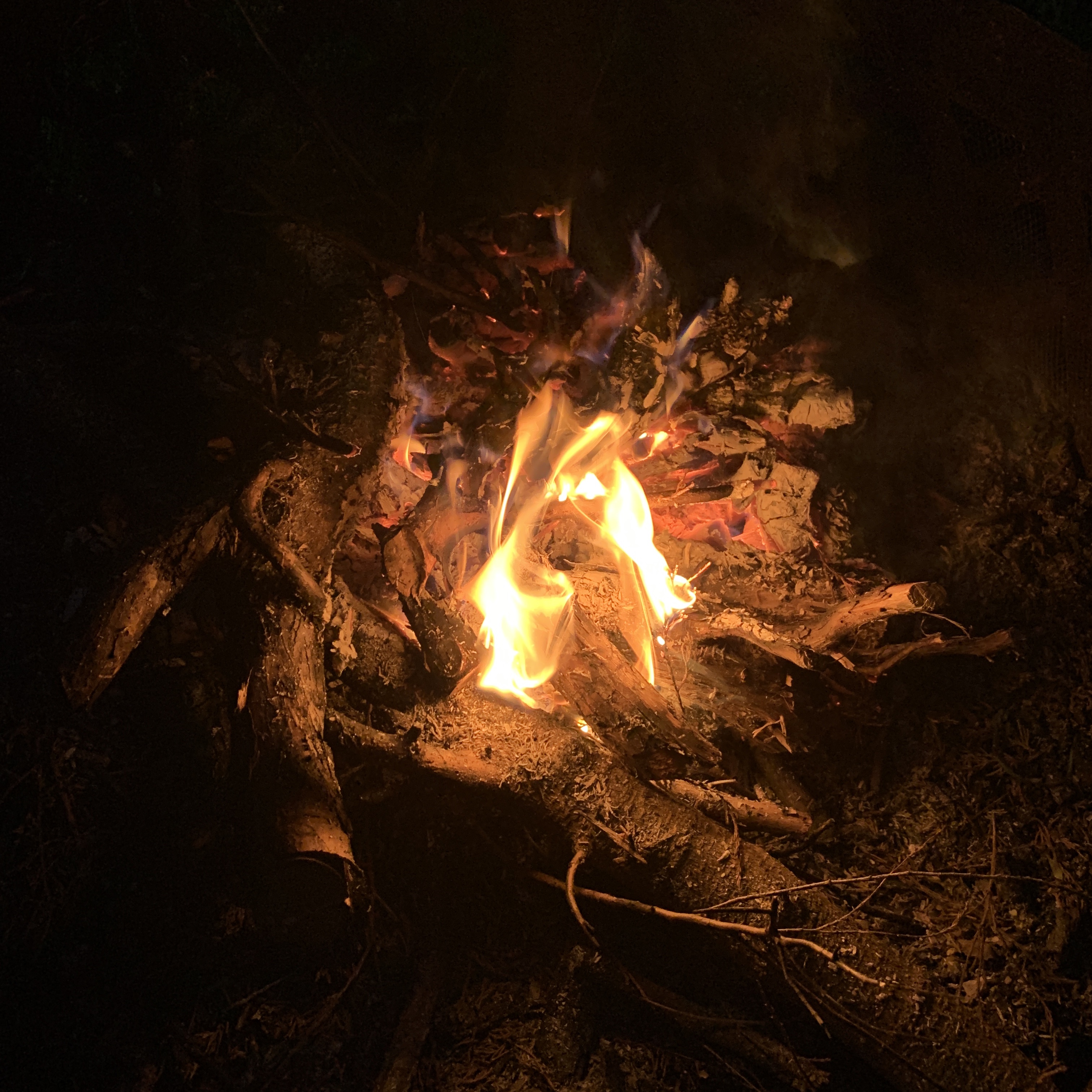 Pyoca Camp & Retreat Center - More than a place!